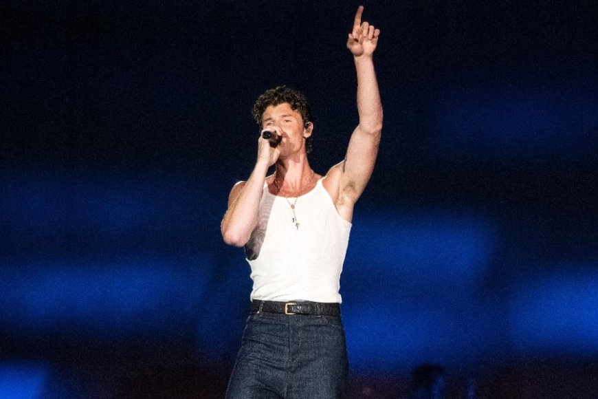 Shawn Mendes Tackles Gay Rumors in Unreleased Song “The Mountain ...