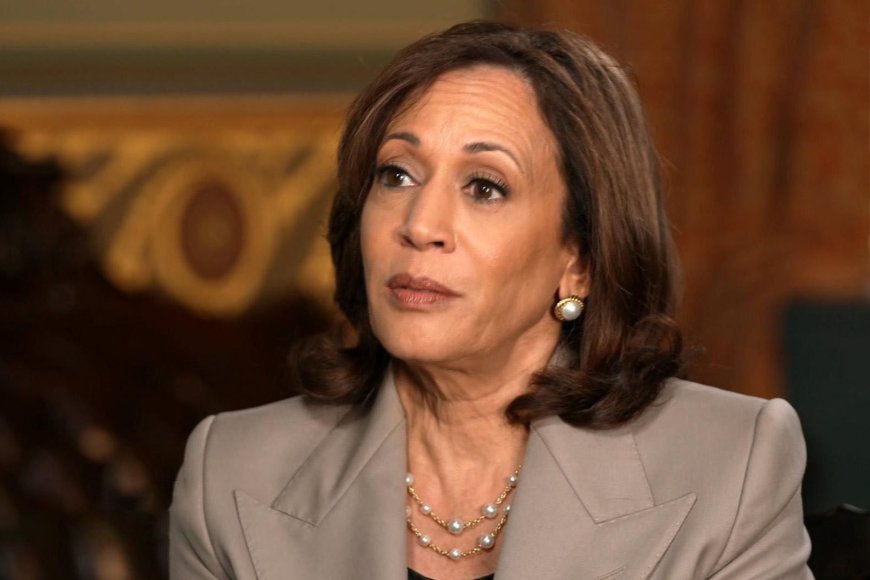 Kamala Harris Goes Viral at Emerge Gala for Pride Fan Whip and Surprise ...