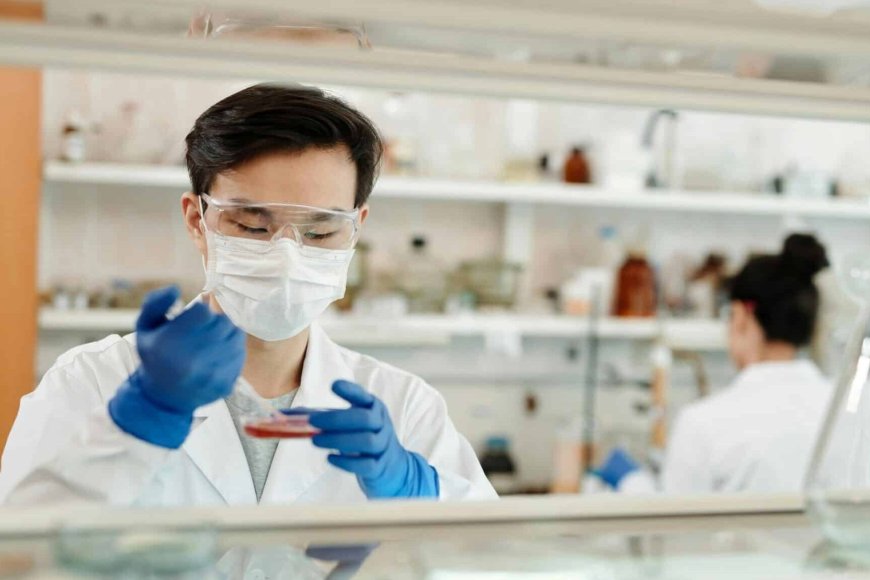 Scientists Create Human Embryos Using Skin Cells, A Step Toward Same ...